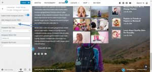 How to Configure the Footer Instagram Section? – Color Blog